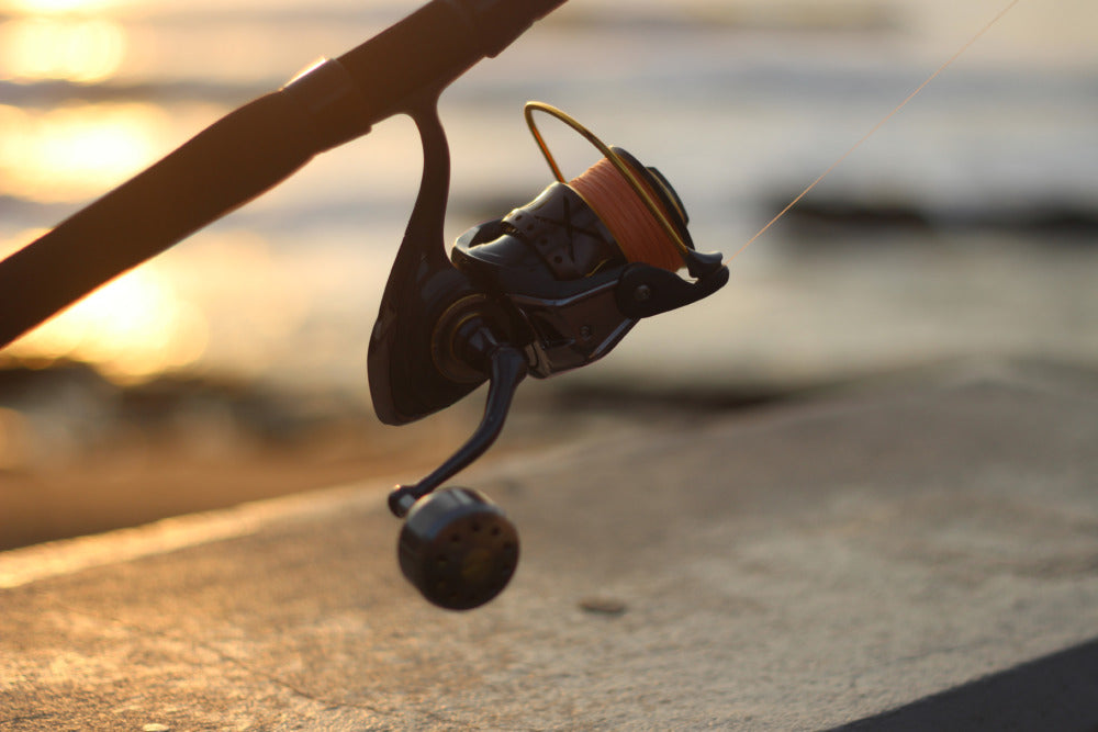 Waft Fishing | Best Fishing Rods & Reels